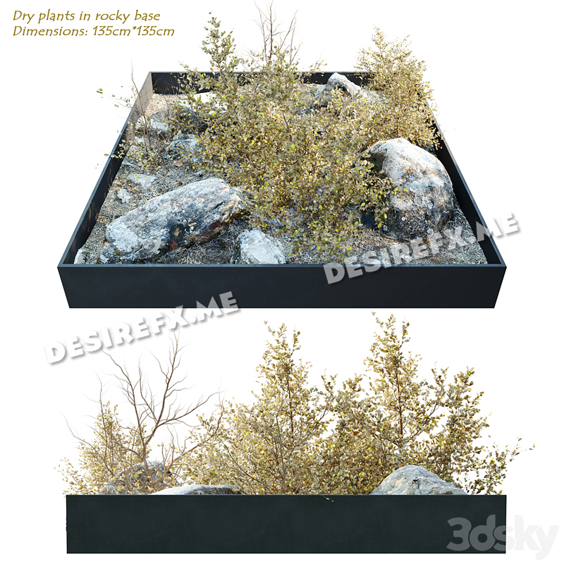 Desire FX 3d models | Dry plants in rocky base – 3D Model