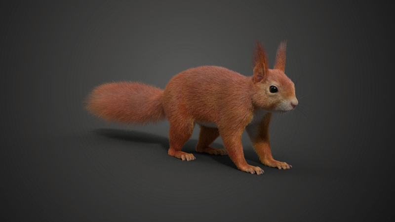 Desire FX 3d models | Red Squirrel Animated – VFX Grace Blender 3D Model