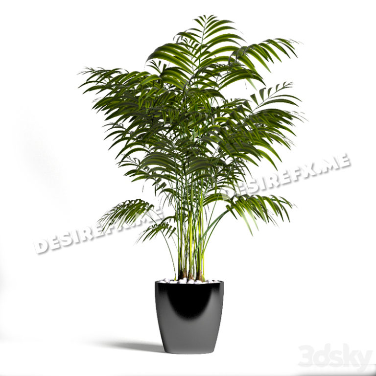 Desire FX 3d models | Palm – 3D Model