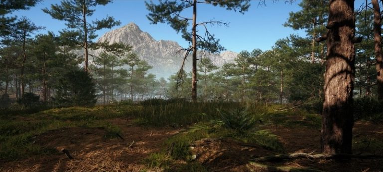 Desire FX 3d models | Red Pine Biome – Unreal Engine