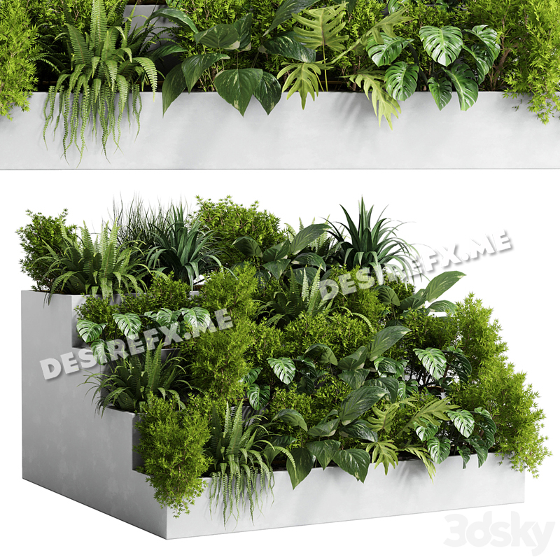 Desire FX 3d models | Collection outdoor indoor plant 54 stairs ...
