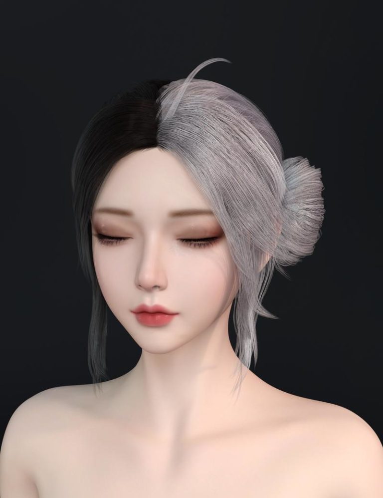 Desire FX 3d models | Noki Dual-Tone Low Bun Hair for Genesis 9