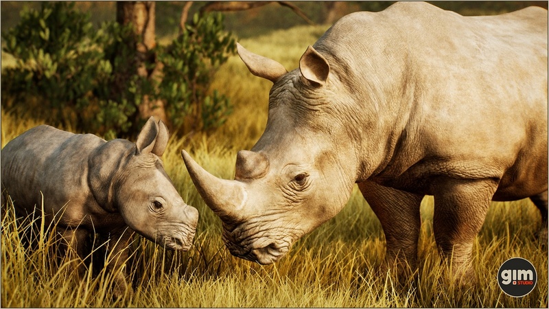 Desire FX 3d models | Animalia – White Rhinoceros (Pack) – Unreal Engine