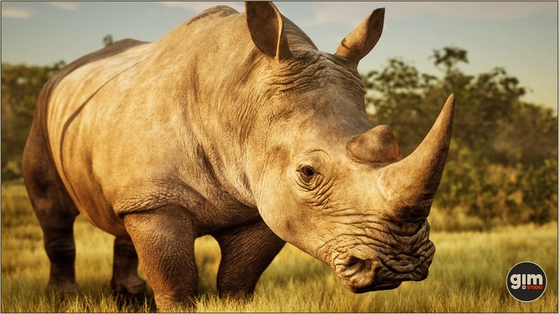 Desire FX 3d models | Animalia – White Rhinoceros (Pack) – Unreal Engine