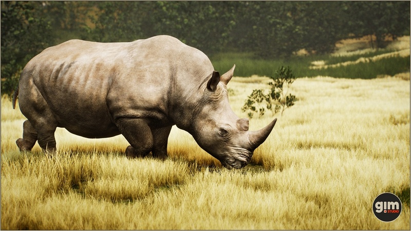 Desire FX 3d models | Animalia – White Rhinoceros (Pack) – Unreal Engine