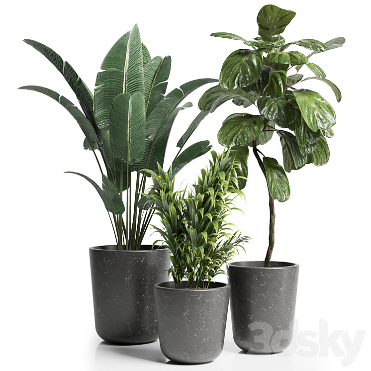 Desire FX 3d models | Indoor plant 21 – 3D Model